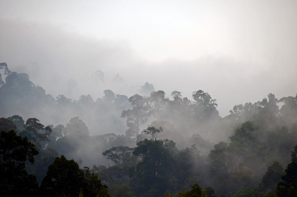 AsiaPhotoStock, mist