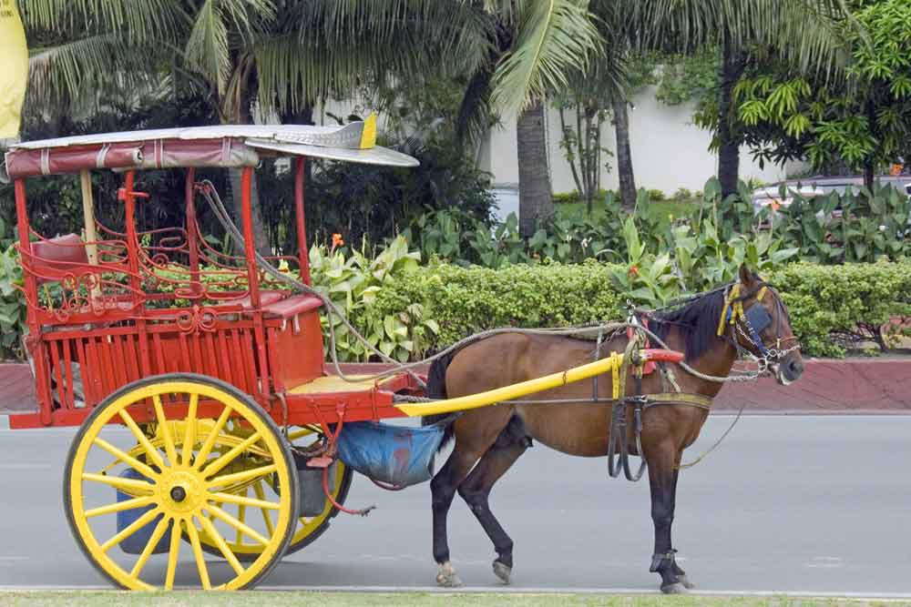 AsiaPhotoStock, kalesa manila