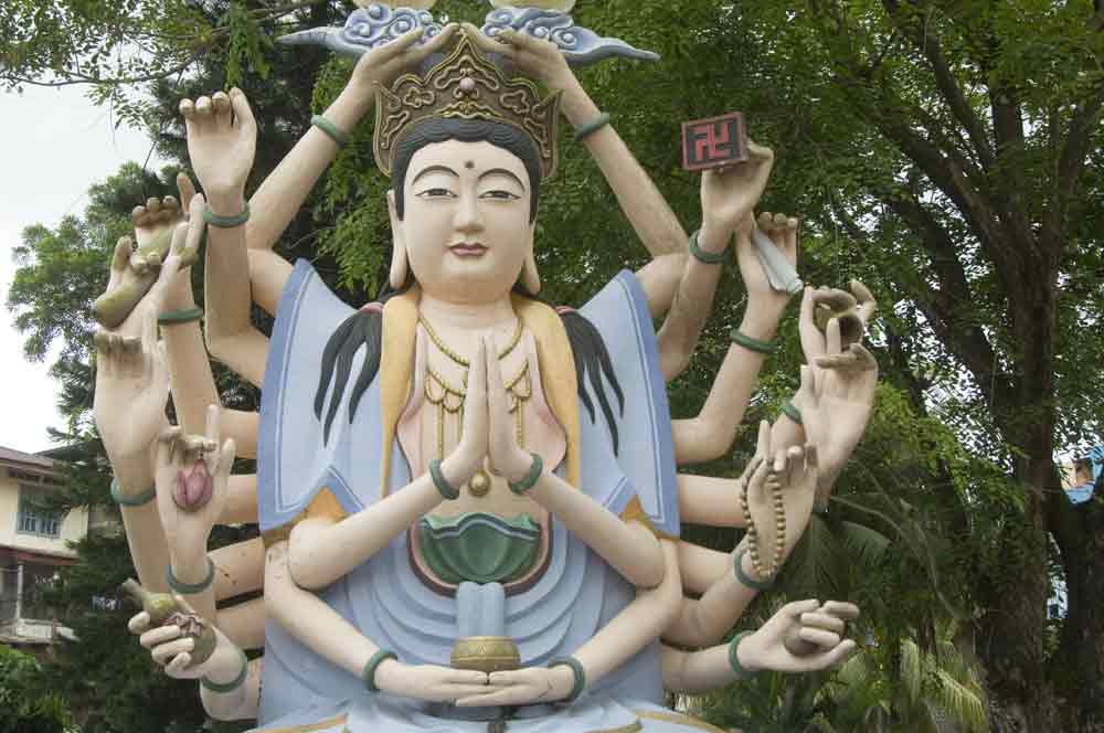 AsiaPhotoStock, many arms