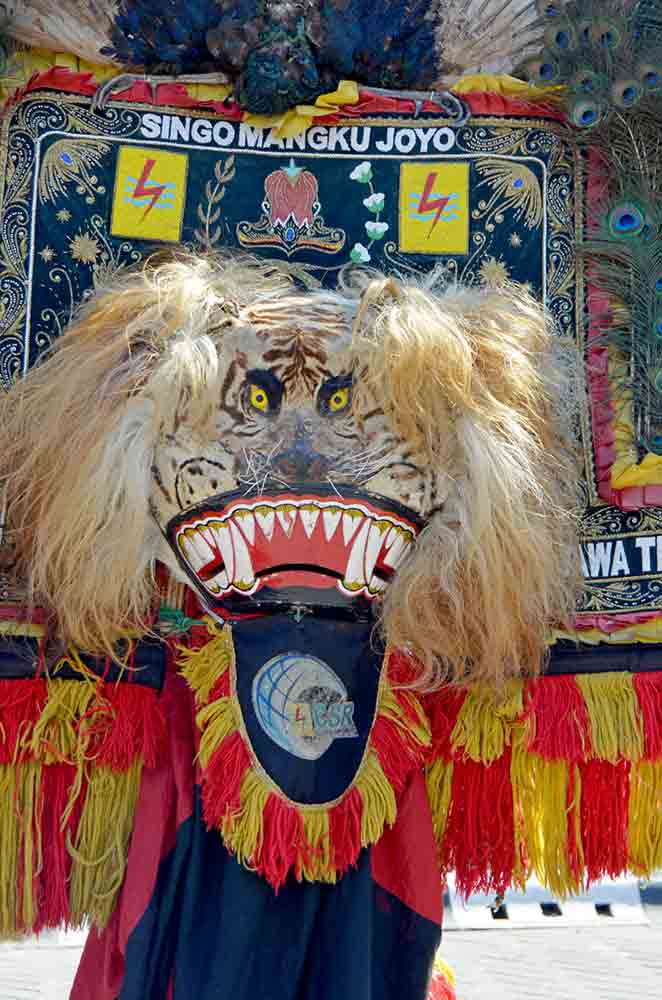 AsiaPhotoStock, singo