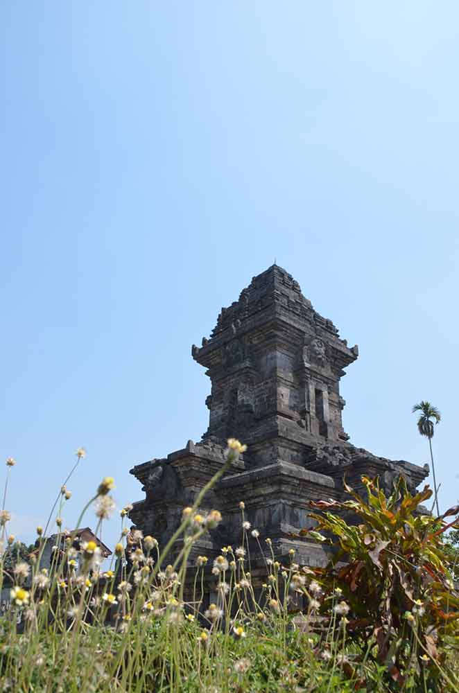 AsiaPhotoStock, singosari