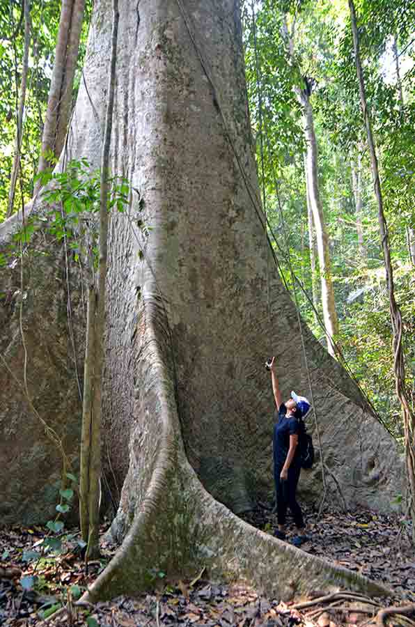 AsiaPhotoStock, tualang