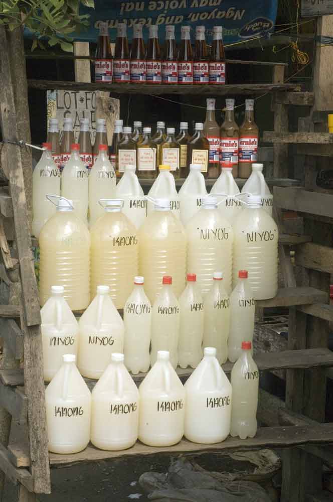 AsiaPhotoStock, niyog