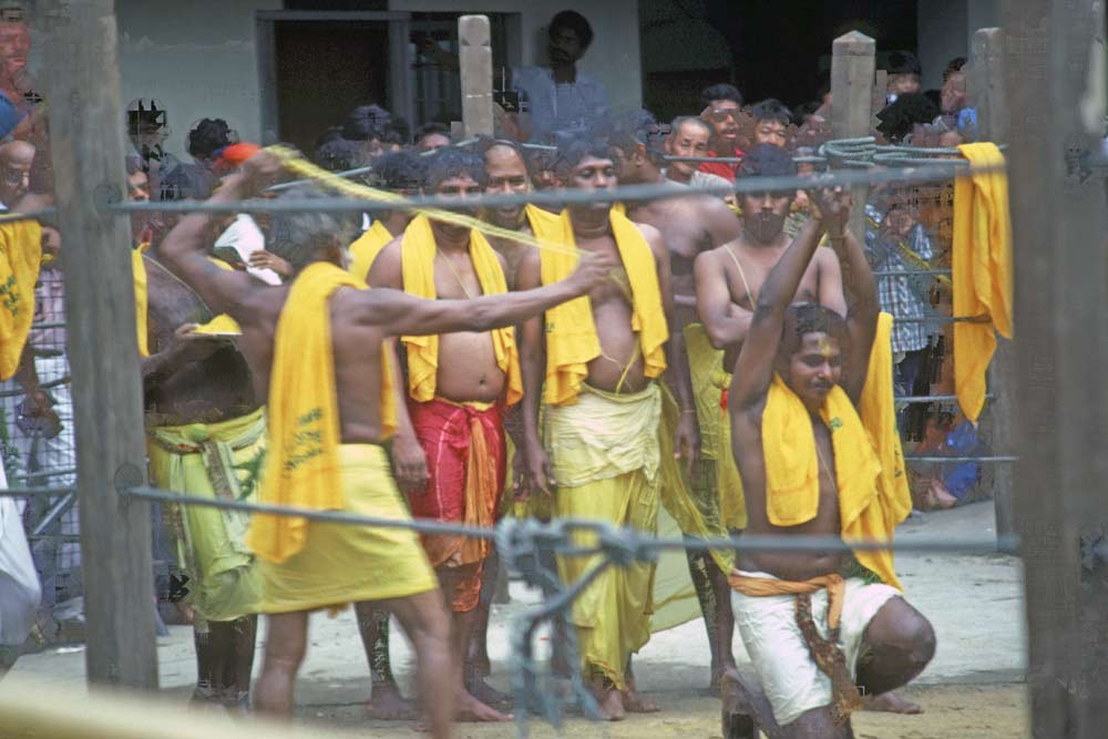 AsiaPhotoStock, whipping