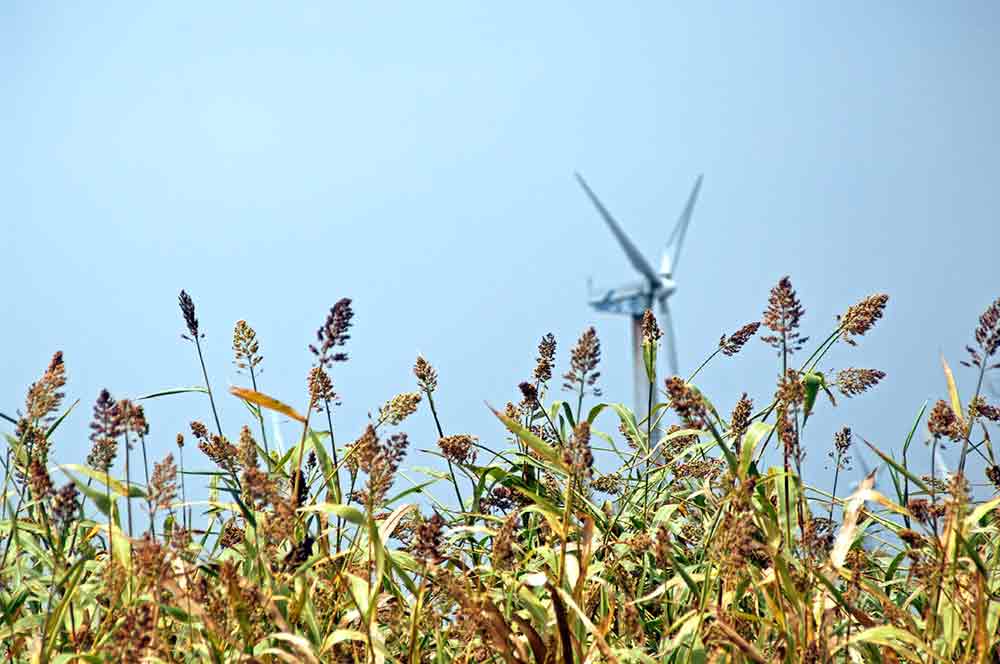 AsiaPhotoStock, windmill kerala